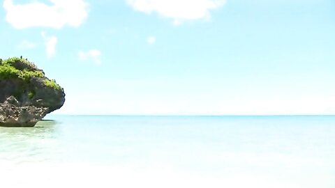 MOR-037 あいださくら | Xasiat