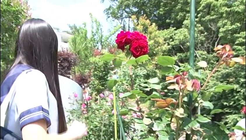 PIXY-019 Haruna Ibuki 伊吹陽菜 – 旬感娘 | Xasiat